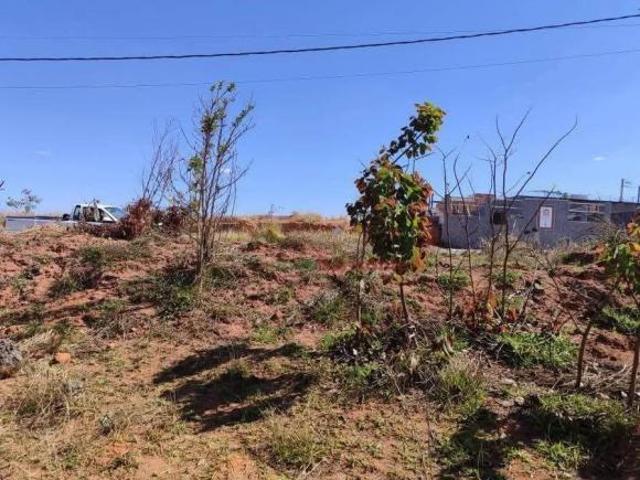 Terreno para venda em Oliveira