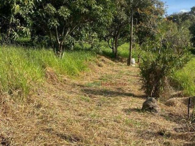 Terreno para venda em Oliveira