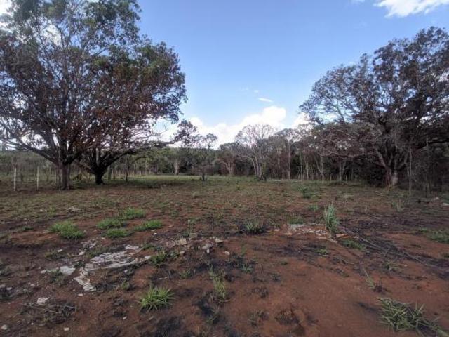 Terreno para Venda em Lagoa Santa, Campinho