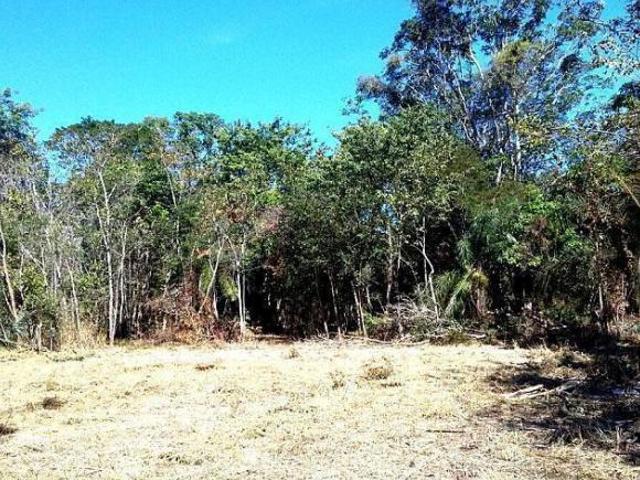 Terreno para Venda em Lagoa Santa, Campinho