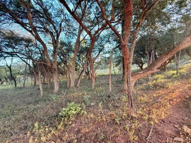 Terreno para venda em Mateus Leme