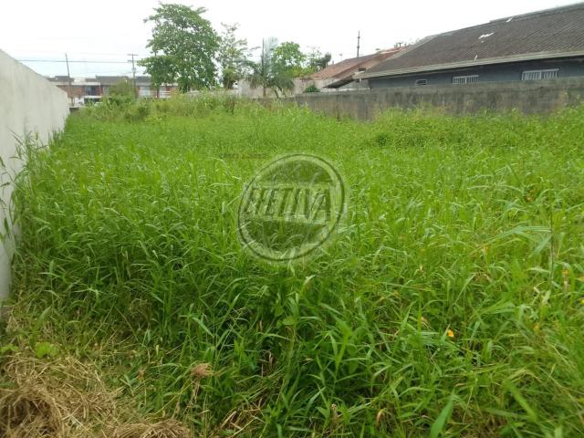 Terreno para venda em Matinhos em Matinhos Paraná de 314.00m²