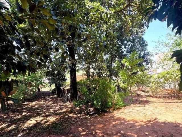 Terreno para Venda em Marília, Chácara Eliana
