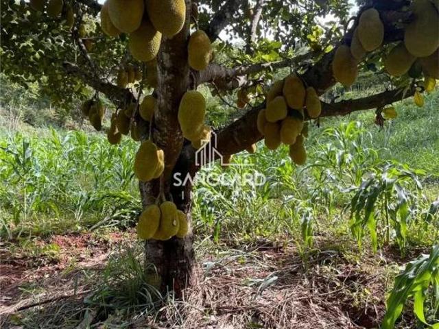 Terreno para venda em Marliéria