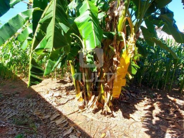 Terreno para venda em Marta Helena, Uberlândia