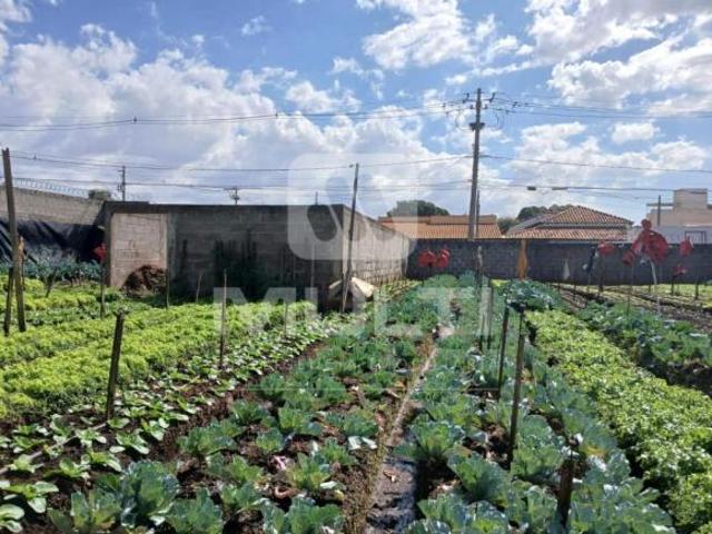 Terreno para venda em Minas Gerais, Uberlândia