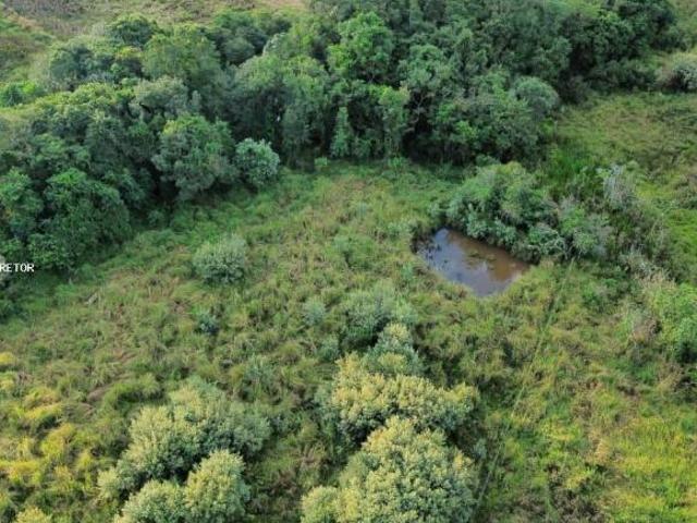 Terreno para Venda em Munhoz, Centro