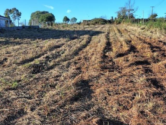 Terreno para Venda em Munhoz/MG 1 Dorm. 1800 m2 Área Útil