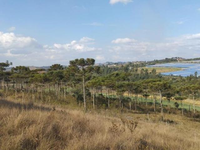 Terreno para Venda em Munhoz/MG 1 Dorm. 2000 m2 Área Útil