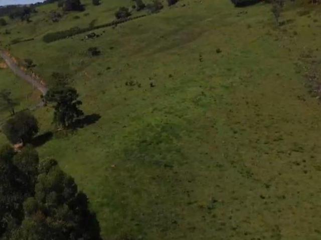 Terreno para Venda em Munhoz/MG 1 Dorm. 4000 m2 Área Útil