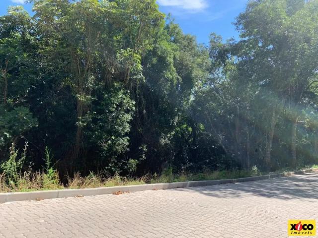 Terreno para Venda em Nova Petrópolis, Centro