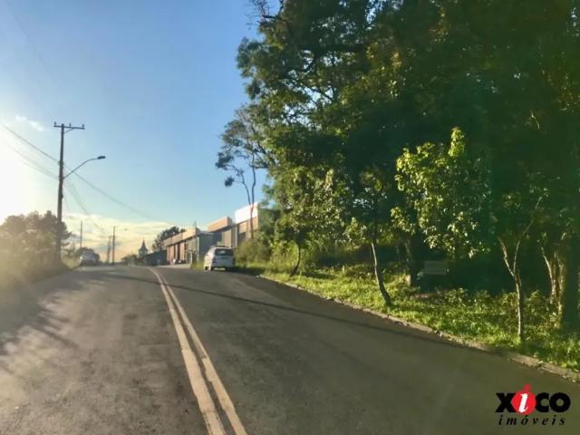 Terreno para Venda em Nova Petrópolis, Vila Germânia