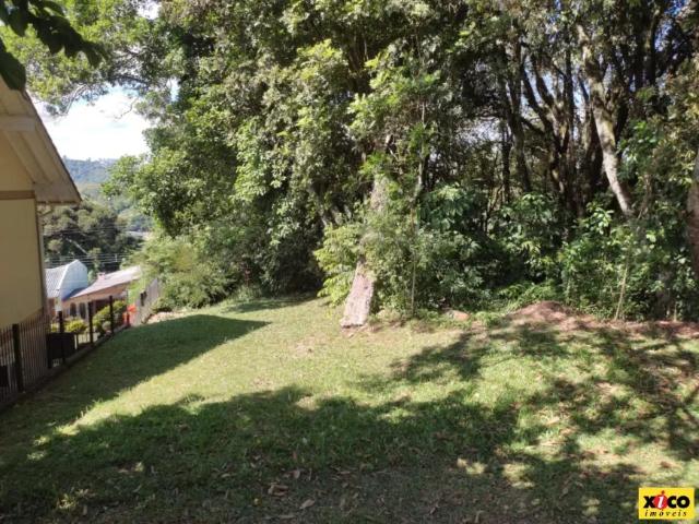Terreno para Venda em Nova Petrópolis, Juriti