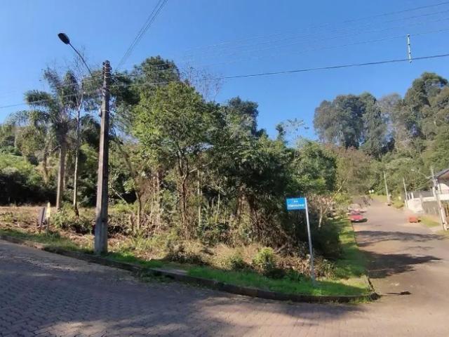 Terreno para Venda em Nova Petrópolis, Pousada da Neve