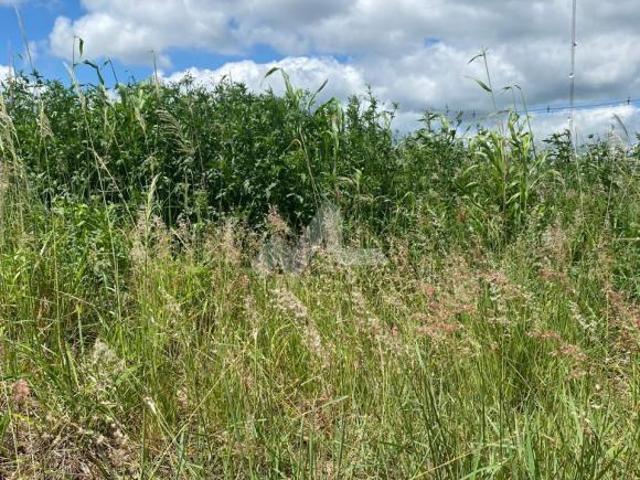Terreno para venda em Novo Sobradinho Toledo Pr, com 360 m, sendo 12x30 suas dimensões