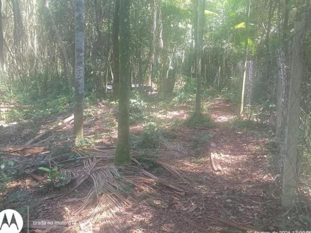 Terreno para Venda em São Bernardo do Campo, Vila Tupã Riacho Grande