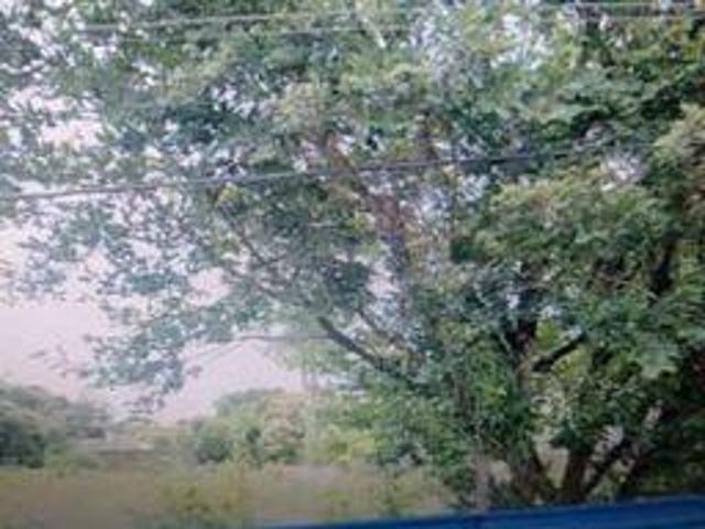 Terreno para venda em São Braz de 2486.00m²