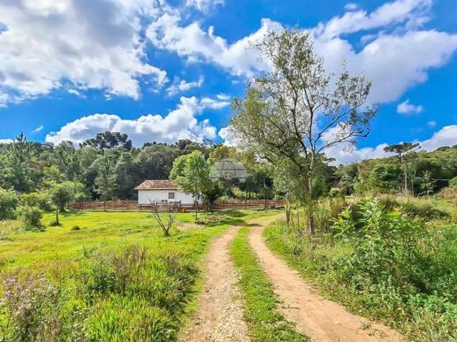 Terreno para venda em São Dimas de 114000.00m²