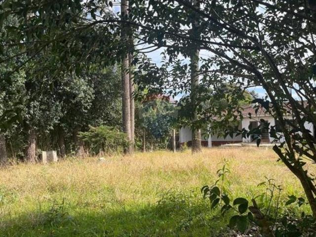 Terreno para venda em São Dimas de 1320.00m²