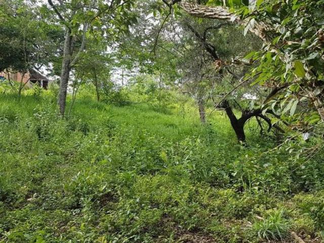 Terreno para venda em São João Del Rei