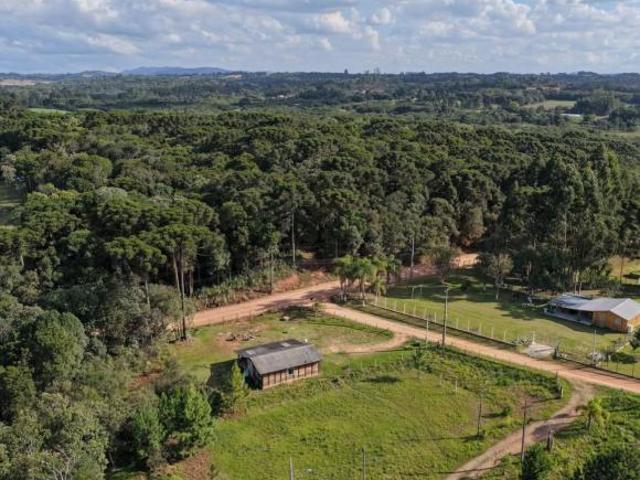 Terreno para Venda em São José dos Pinhais, Campo Largo da Roseira