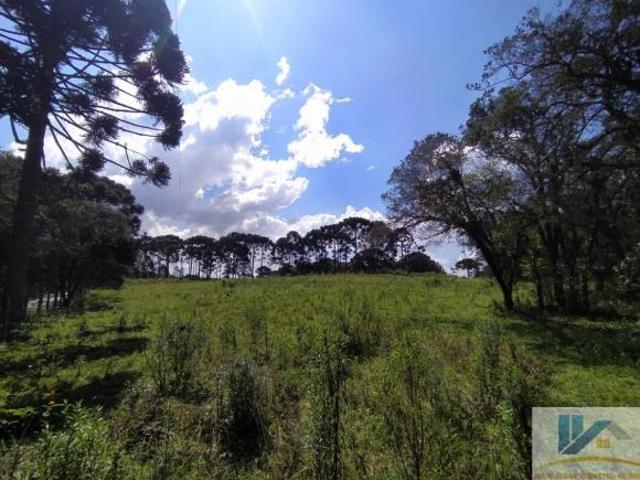 Terreno para Venda em São José dos Pinhais, Contenda, 1 dormitório