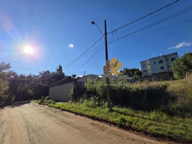 Terreno para Venda em São José dos Pinhais, Del Rey