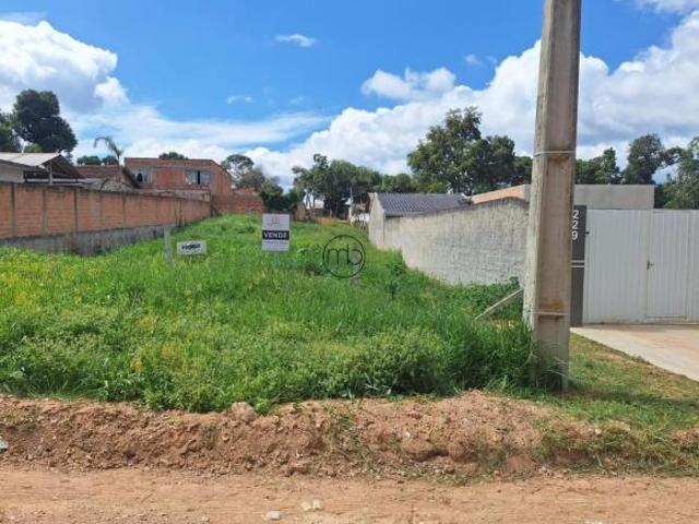 Terreno para Venda em São José dos Pinhais, Del Rey