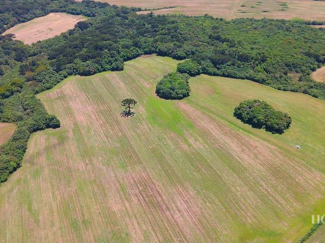 Terreno para venda em São José dos Pinhais em São José dos Pinhais Paraná de 183689.00m²