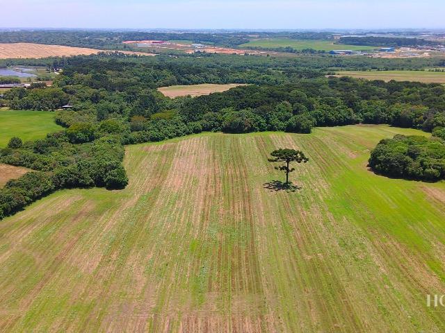 Terreno para venda em São José dos Pinhais em São José dos Pinhais Paraná de 367000.00m²