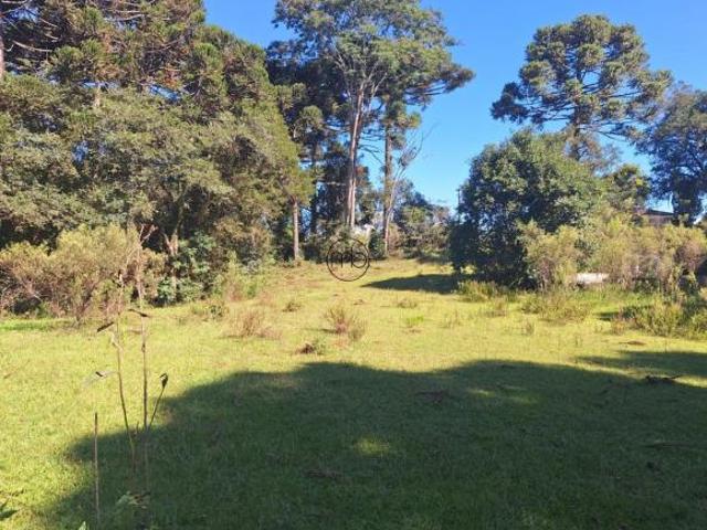 Terreno para Venda em São José dos Pinhais, Zacarias