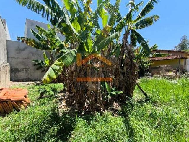 Terreno para venda em São Luiz de 468.00m²