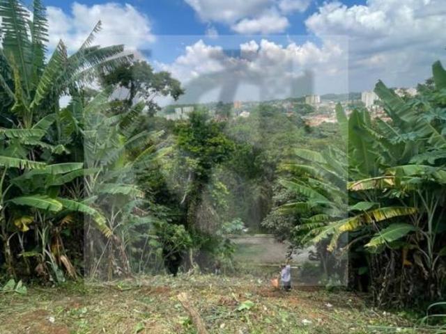 Terreno para Venda em São Paulo, Jardim Virginia Bianca