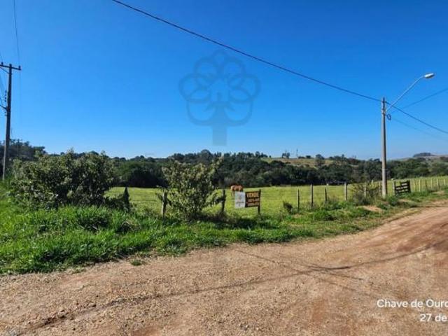 Terreno para Venda em São Pedro, Capim Fino