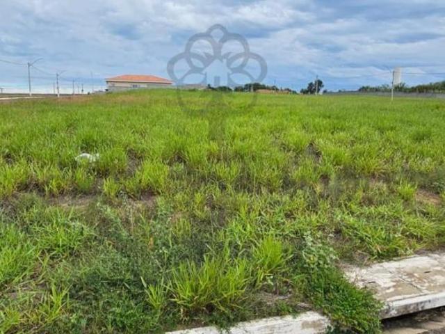 Terreno para Venda em São Pedro, Centro