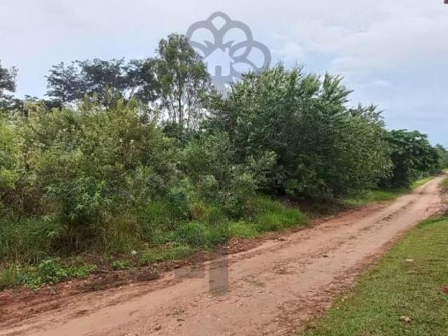 Terreno para Venda em São Pedro, Floresta Escura