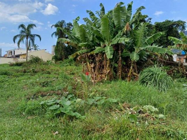 Terreno para Venda em São Sebastião, Canto do Mar
