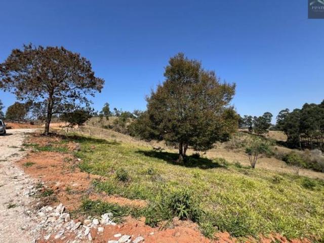 Terreno para Venda em Socorro, ZONA RURAL