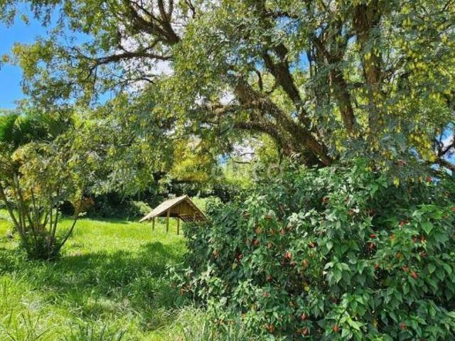 Terreno para venda em Santa Cândida de 895.53m²
