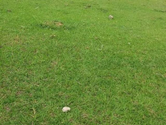 Terreno para venda em Santa Claudina de 5000.00m²