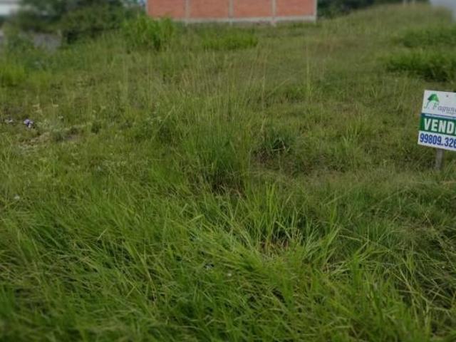 Terreno para Venda em Santa Cruz do Sul, castelo branco