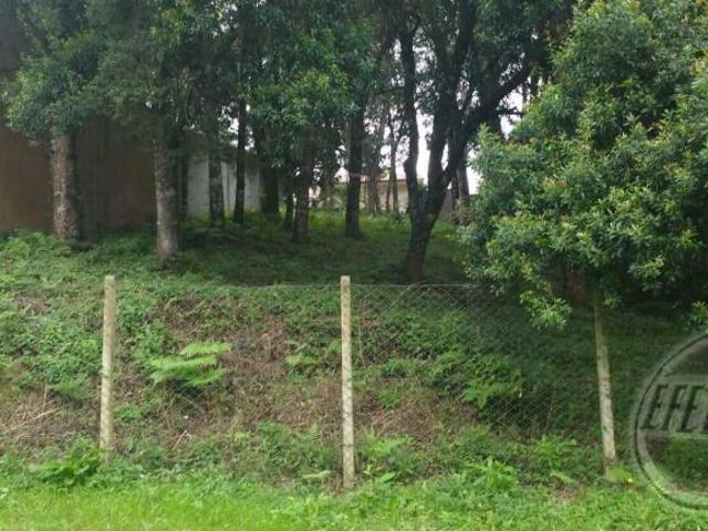 Terreno para venda em Santa Felicidade de 495.00m²
