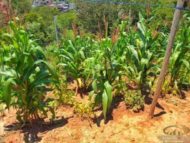 Terreno para Venda em Santana de Parnaíba, Chácara Jaguari Fazendinha