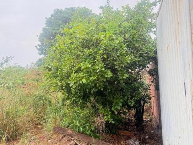 Terreno para Venda em Sarandi, Residencial Governador Jose Richa