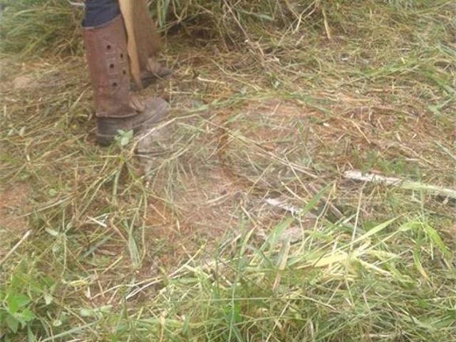 Terreno para venda em Sítio São José de 519.00m²