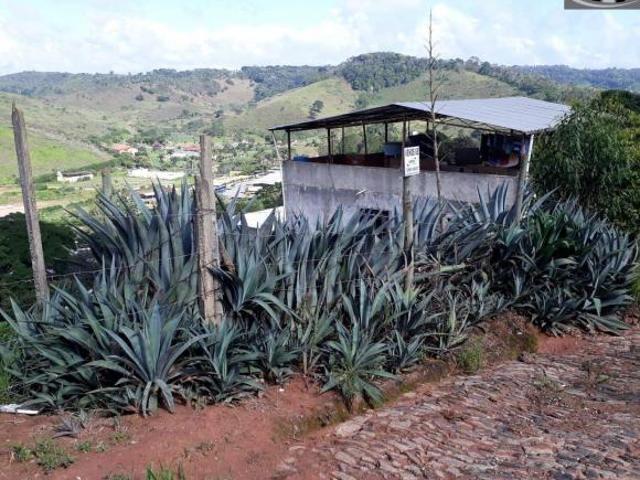 Terreno para venda em Silvestre, Viçosa