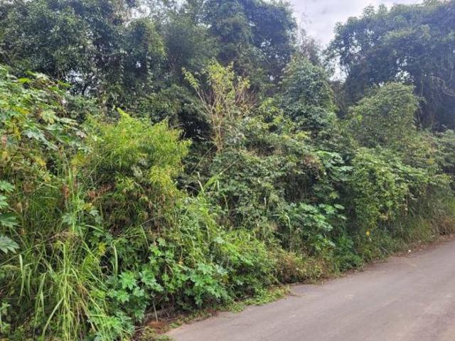 Terreno para venda em Suru de 5985.00m²