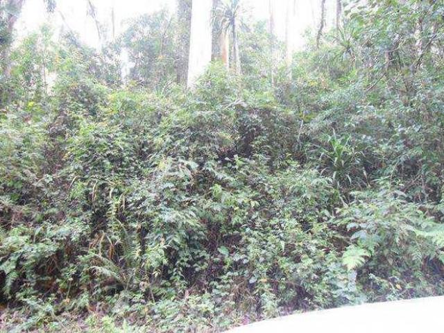 Terreno para venda em Portal Das Acácias de 600.00m²