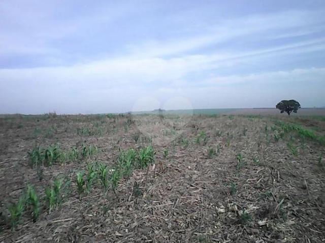Terreno para venda em Pau Pintado de 145979.00m²