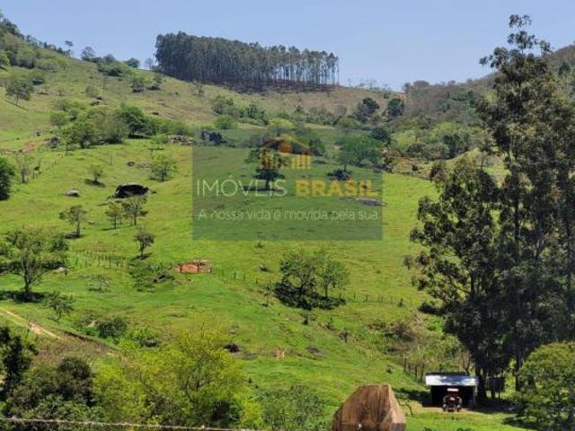Terreno para Venda em Paraisópolis, Fidélis